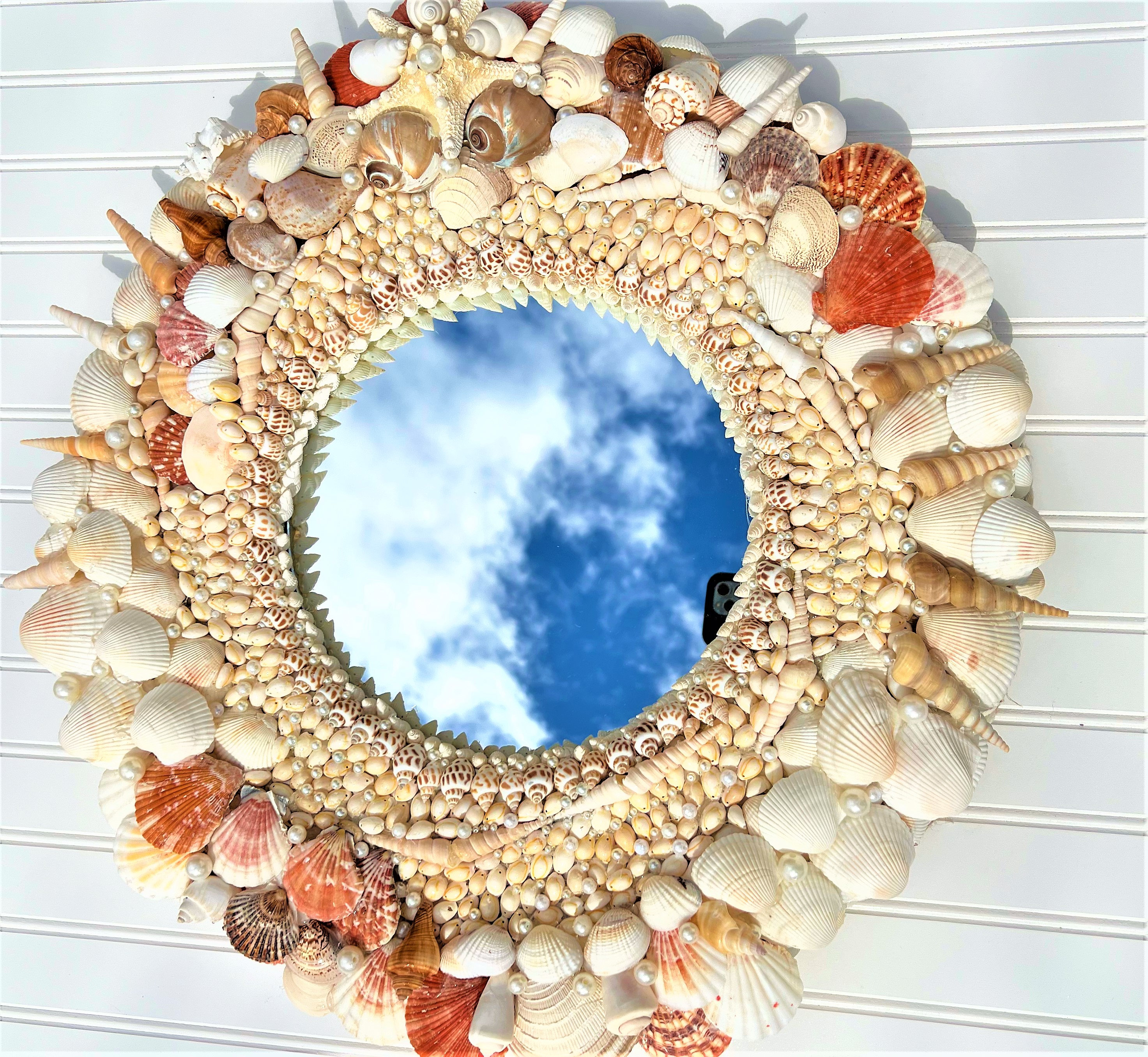 Shell Mirror Round Wall Mirror 23/24 | Etsy