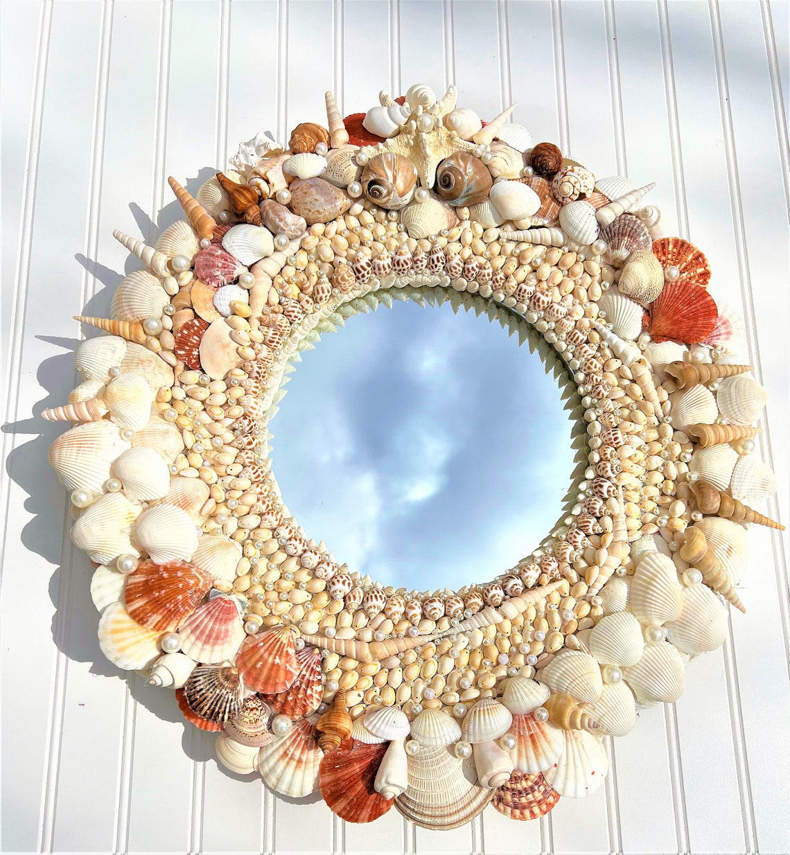 Shell Mirror Round Wall Mirror 23/24 | Etsy