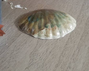 Ceramic Sea Shell - Etsy