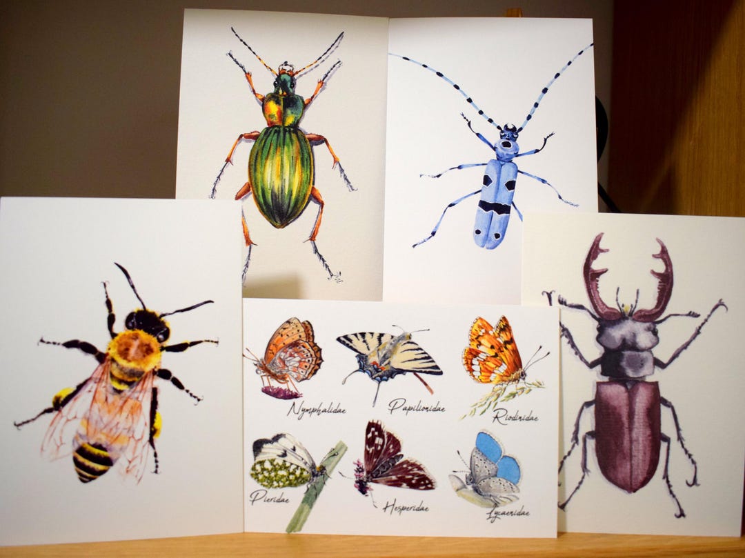 Various Models of Watercolor Insect Postcards - Etsy