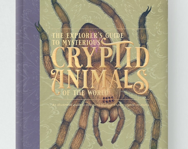 CuriousGardenArt - Etsy