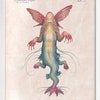 The Illustrated Encyclopedia of Cryptozoology Picture Book - Etsy