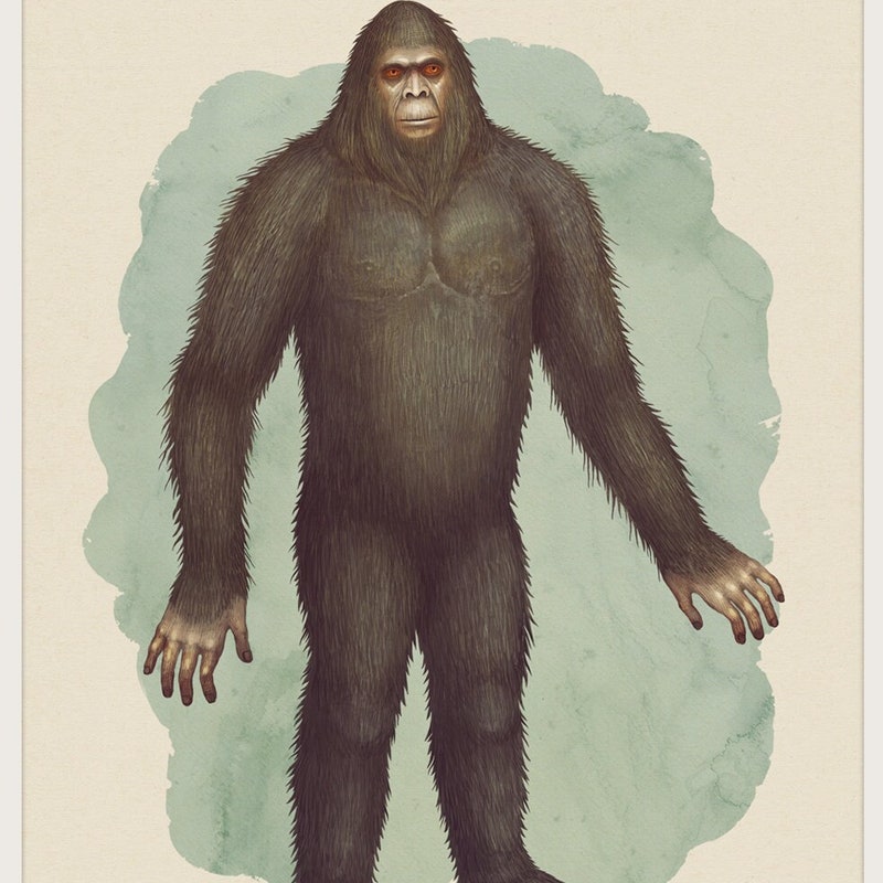 CuriousGardenArt - Etsy