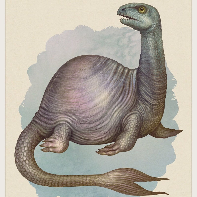 CuriousGardenArt - Etsy