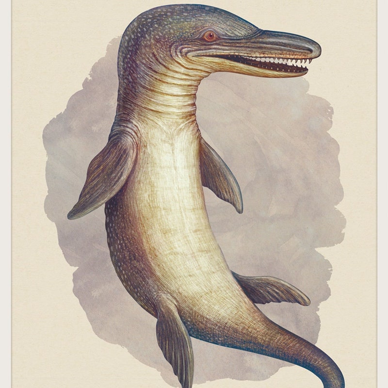 CuriousGardenArt - Etsy