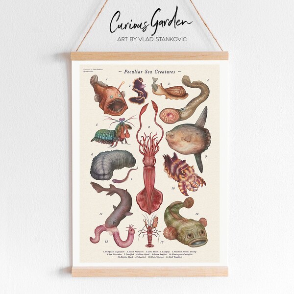 Sea Creatures Print - Etsy