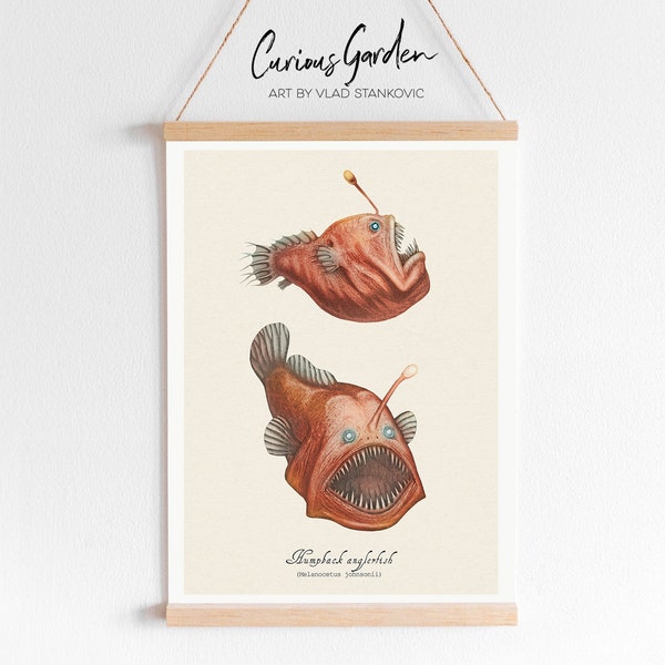Anglerfish - Etsy