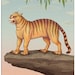 Queensland Tiger, Cryptid Art Print, Cryptids Art, Cryptid Artwork ...