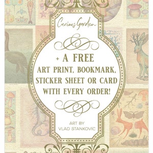 The Natural History of Cryptid Creatures - Picture Book - Etsy