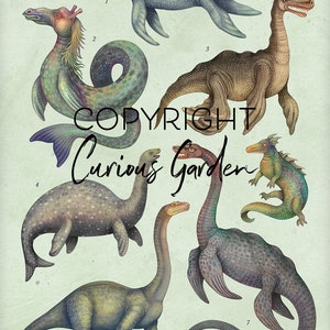 Aquatic Cryptids, Cryptozoology Species, Sea Monsters, Cryptid Art ...