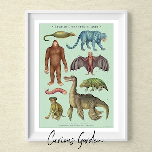 Cryptids of Asia - Etsy