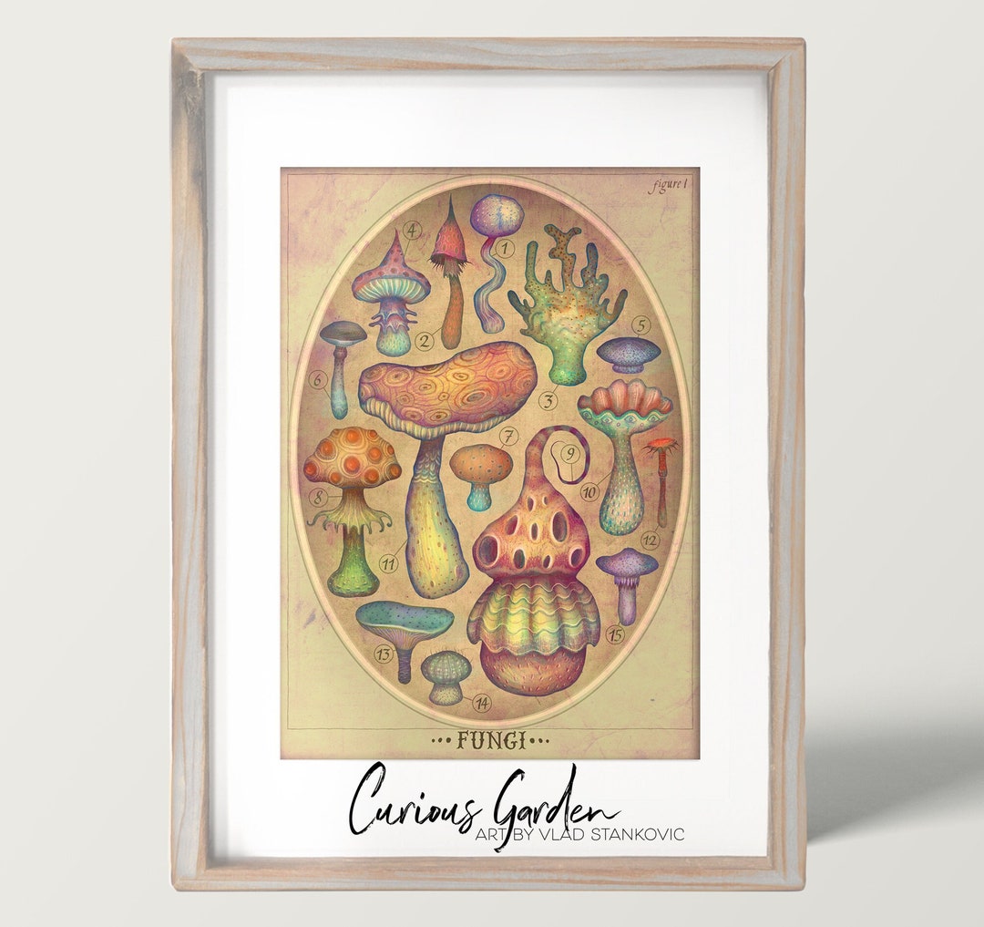 Fungi I, Fungi Artwork, Fungi Art Print - Etsy