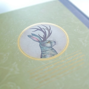 Cryptid Animals Picture Book: Mythical Beasts Illustrated Hardcover - Etsy