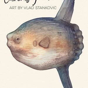 Ocean Sunfish - Art Print - Etsy