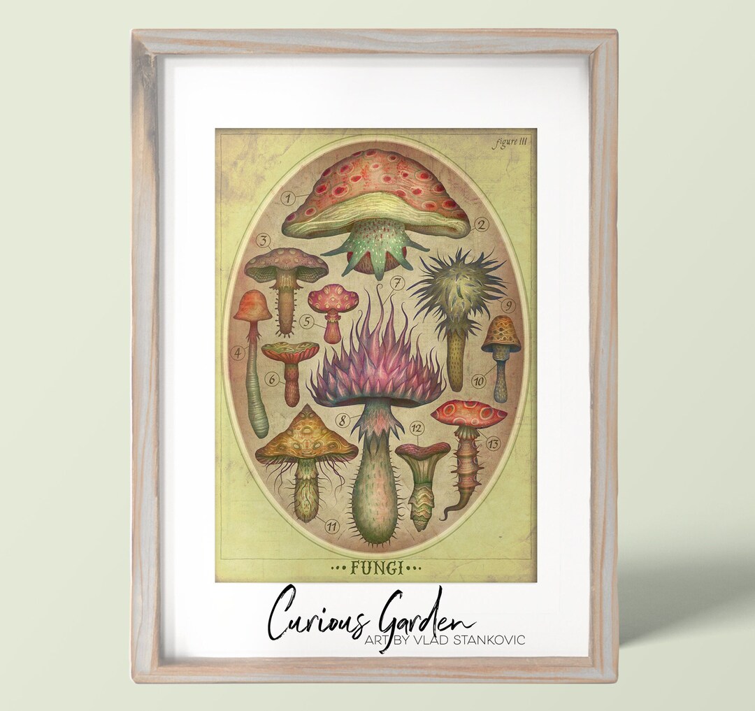 Fungi III, Fungi Artwork, Fungi Art Print - Etsy