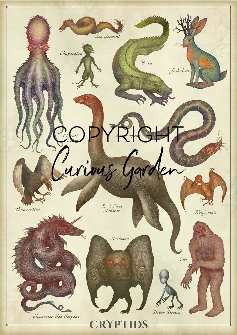 Cryptids, Cryptid Art Print, Cryptids Art, Cryptid Artwork, Cryptozoology - Etsy