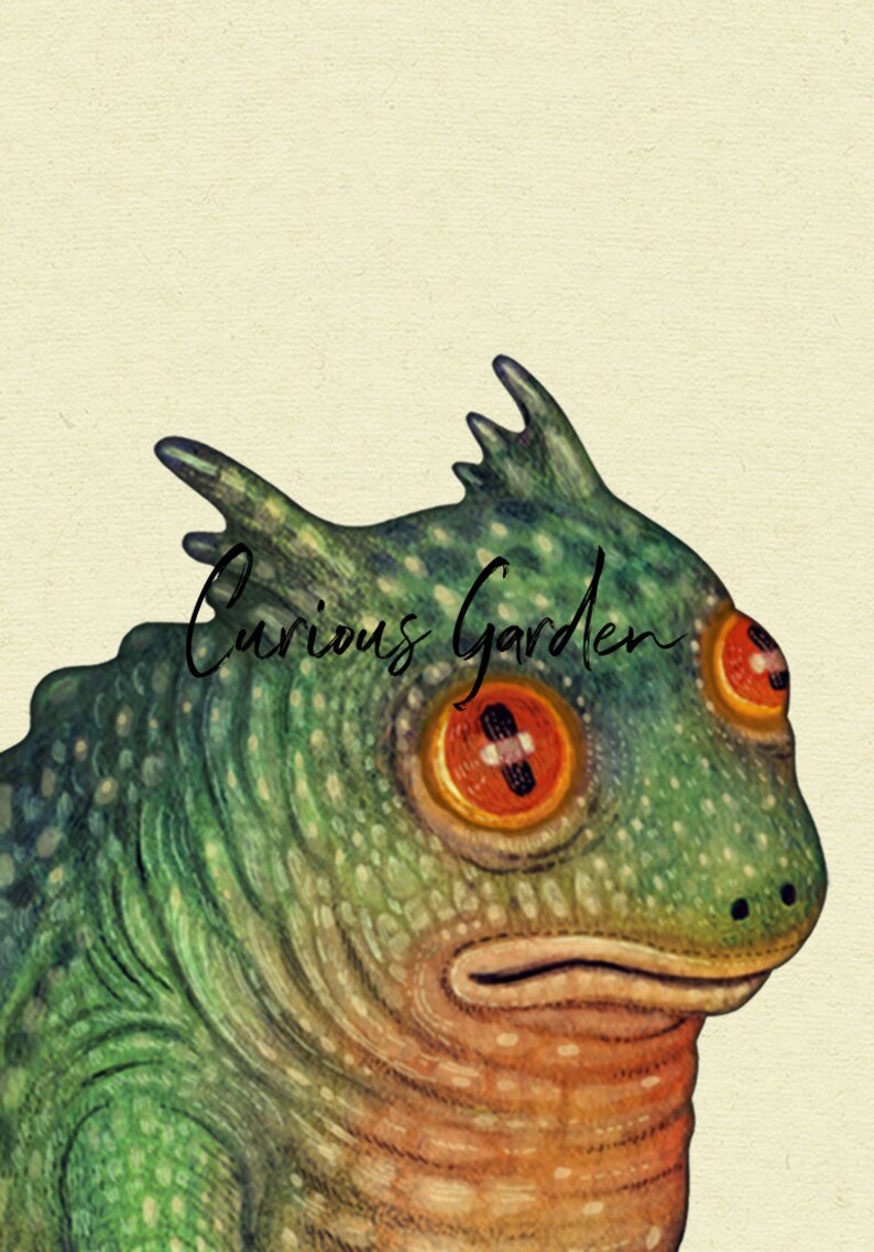Loveland Frogman Cryptid Art Print - Etsy
