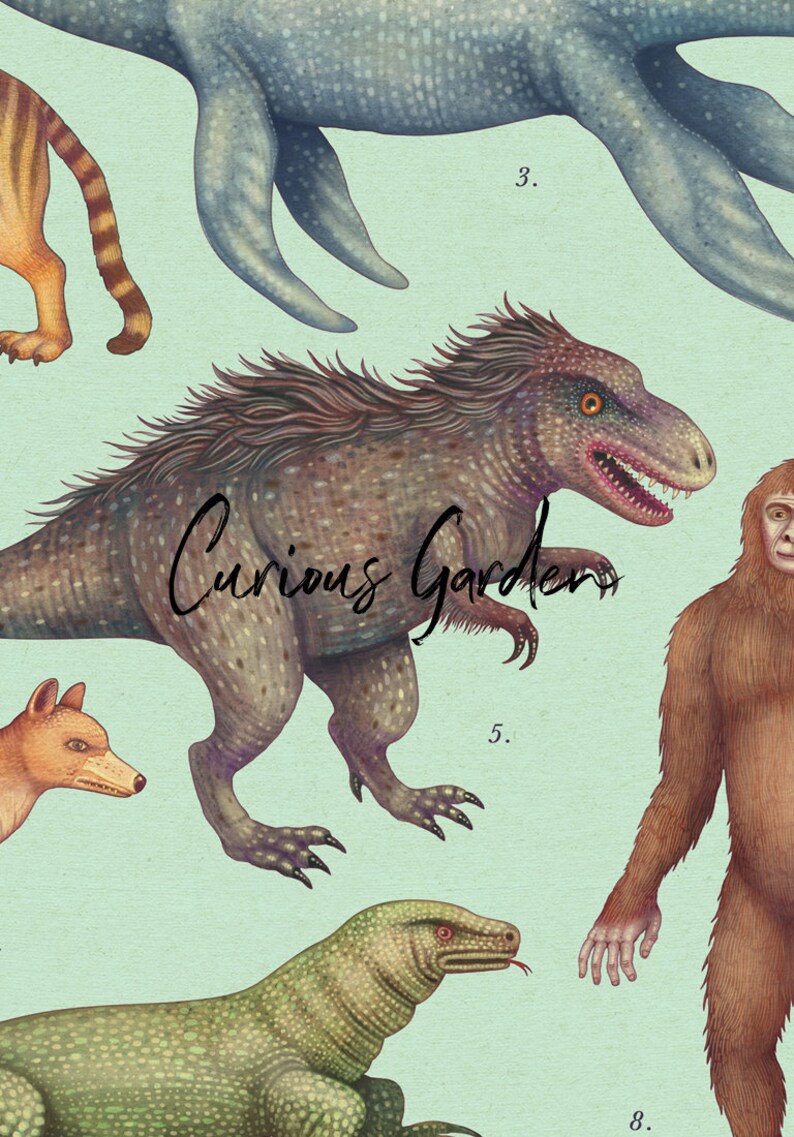 Cryptids of Australia - Etsy