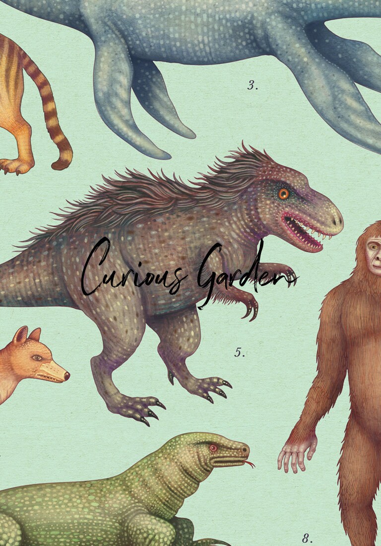 Cryptids of Australia - Etsy