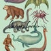 Cryptids of Africa - Etsy