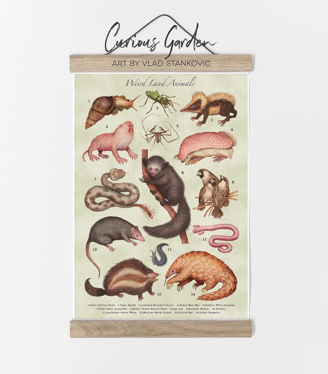 Weird Land Creatures - Art Print - Etsy