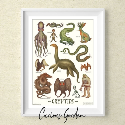 Crazy Cryptids Print - Etsy