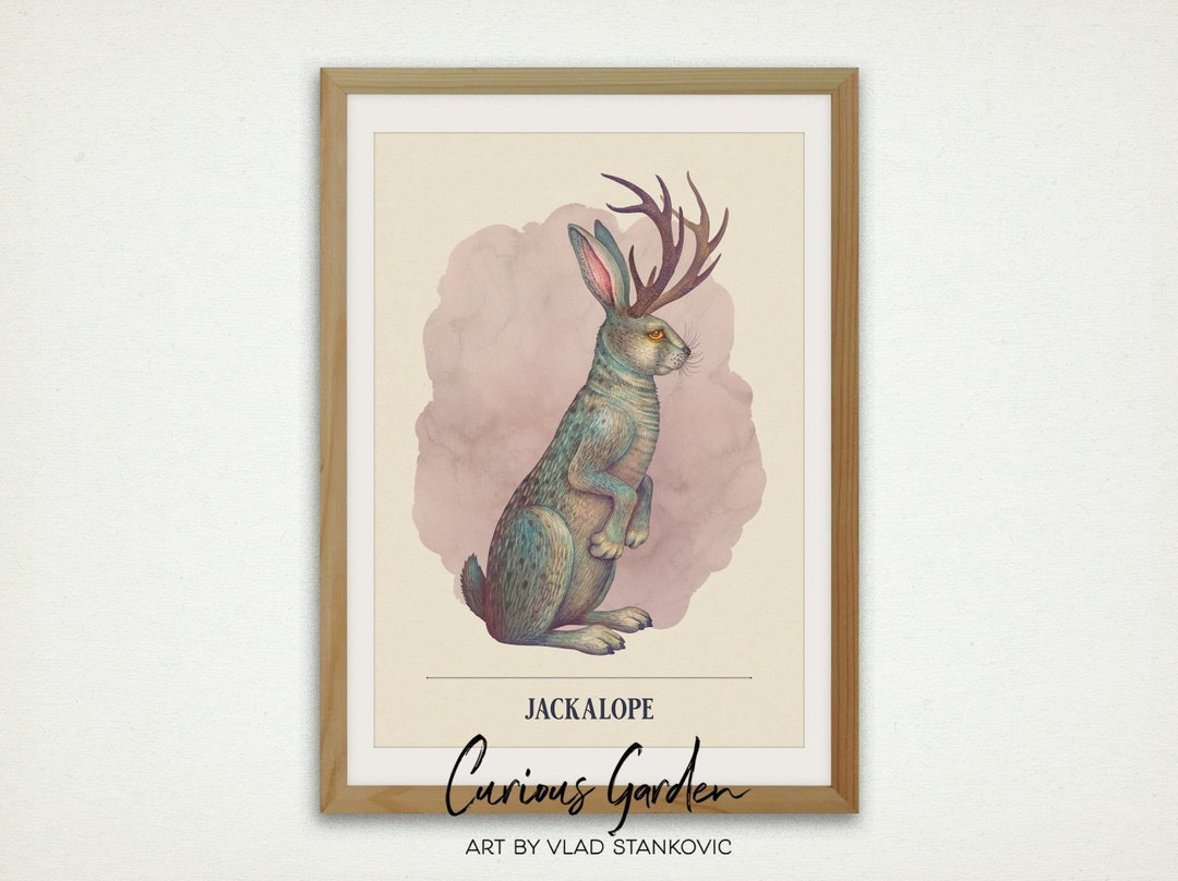 Jackalope, Jackalope Art, Cryptid Art Print, Cryptozoology, - Etsy