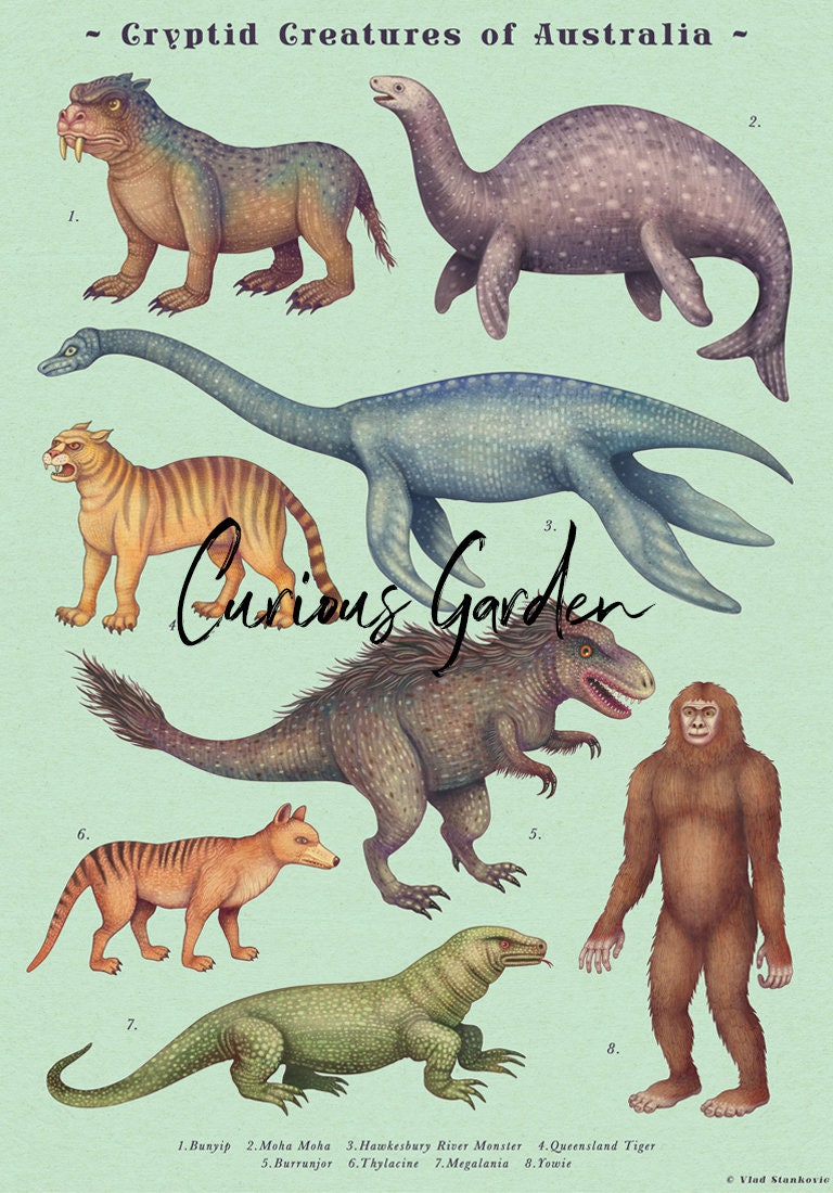 Cryptids of Australia - Etsy