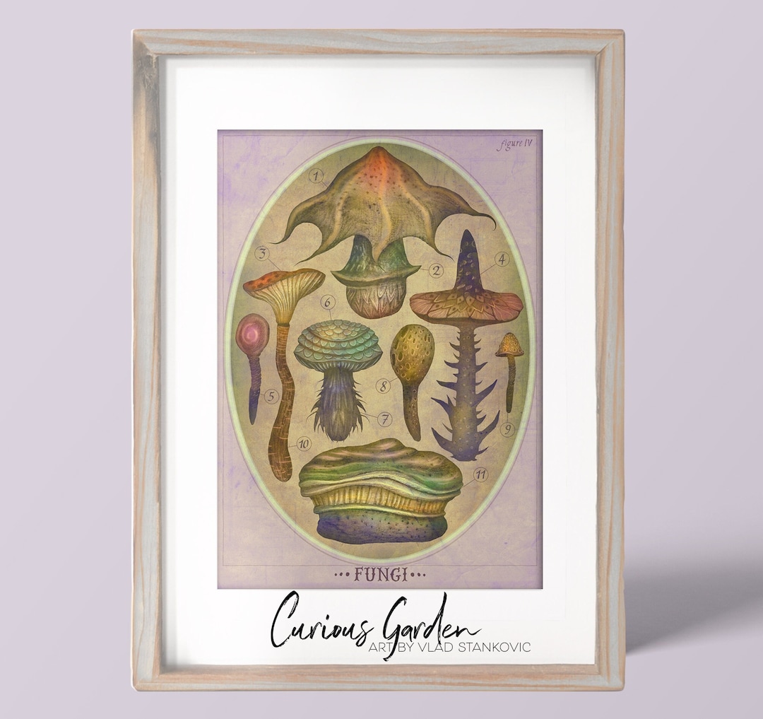 Fungi IV, Fungi Artwork, Fungi Art Print - Etsy