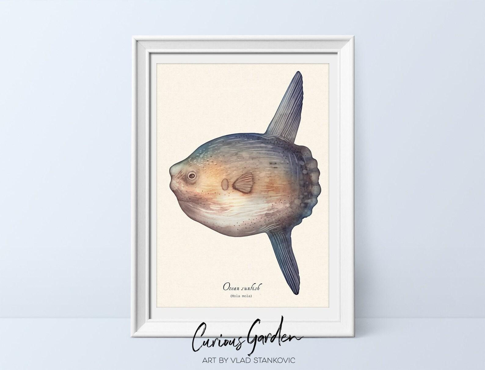Ocean Sunfish Art Print - Etsy