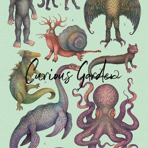 Cryptids of Europe - Etsy
