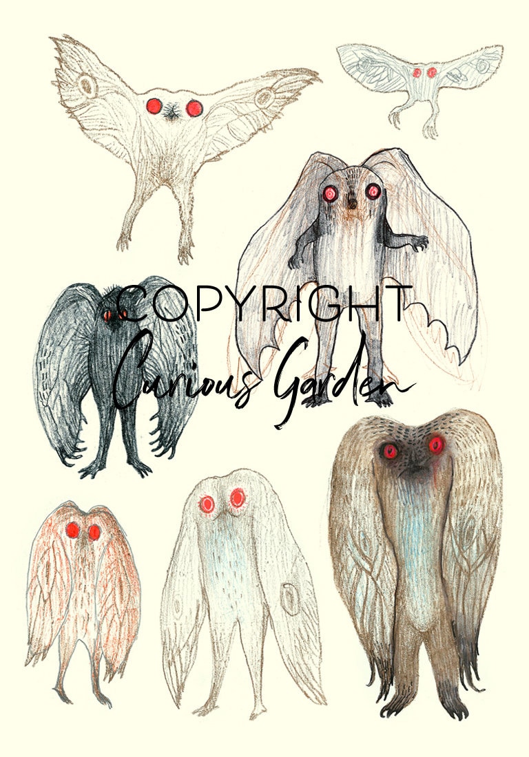Mothman Sketches Cryptid Art Print - Etsy