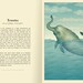 The Illustrated Encyclopedia of Cryptozoology - Picture Book - Etsy