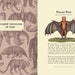 The Illustrated Encyclopedia of Cryptozoology - Picture Book - Etsy