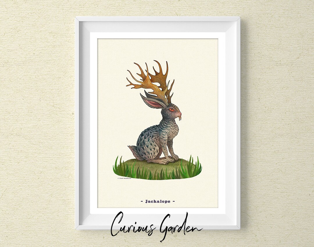 Jackalope Cryptid Art Print - Etsy