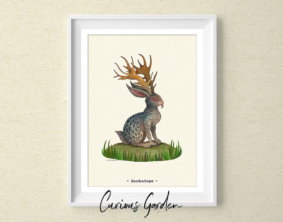 Jackalope, Cryptid Art Print, Cryptids Art, Cryptid Artwork, Cryptozoology - Etsy
