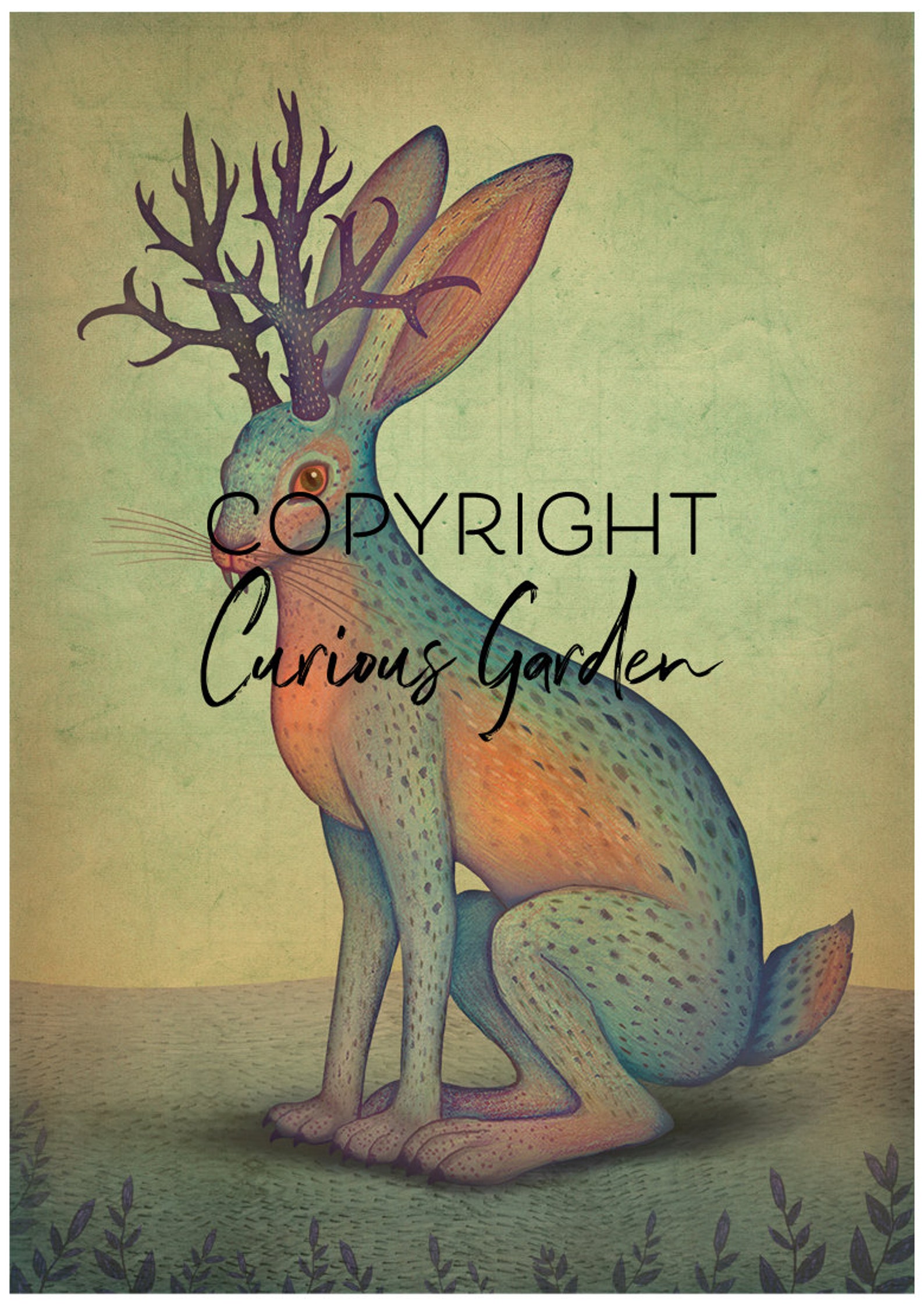 Jackalope Cryptid Art Print - Etsy