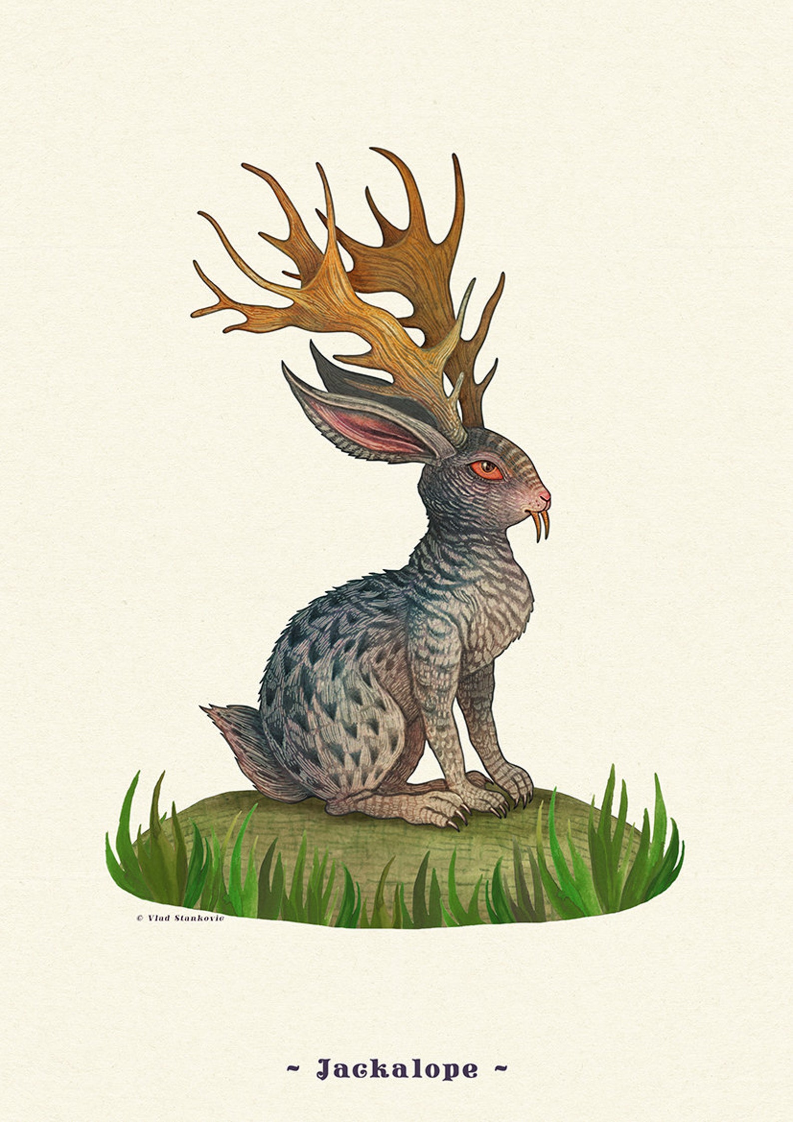 Jackalope Cryptid Art Print - Etsy