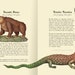 The Illustrated Encyclopedia of Cryptozoology - Picture Book - Etsy