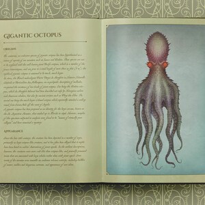 The Natural History of Cryptid Creatures - Picture Book - Etsy