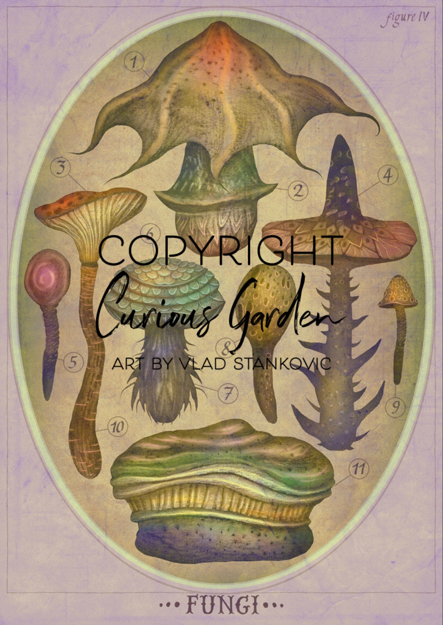 Fungi IV, Fungi Artwork, Fungi Art Print - Etsy