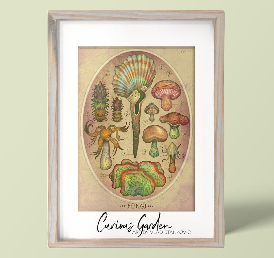 Fungi V, Fungi Artwork, Fungi Art Print, Whimsical Art, Fairy Tale ...