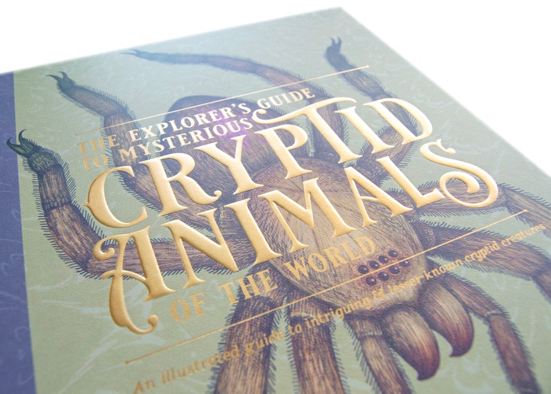 Cryptid Animals Picture Book: Mythical Beasts Illustrated Hardcover - Etsy