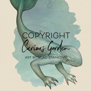 Ningen, Cryptid Art Print, Cryptozoology, - Etsy