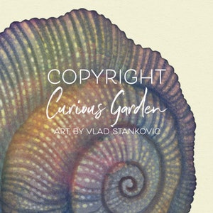 Sarmatian Sea Snail, Cryptid Art Print, Cryptids, Cryptozoology - Etsy