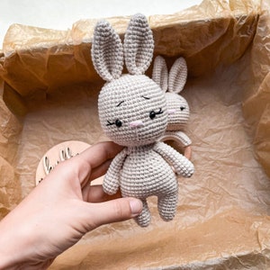 Neutral Bunny Baby Gift Box for Pregnant Sister, Pregnancy Gift Box for ...