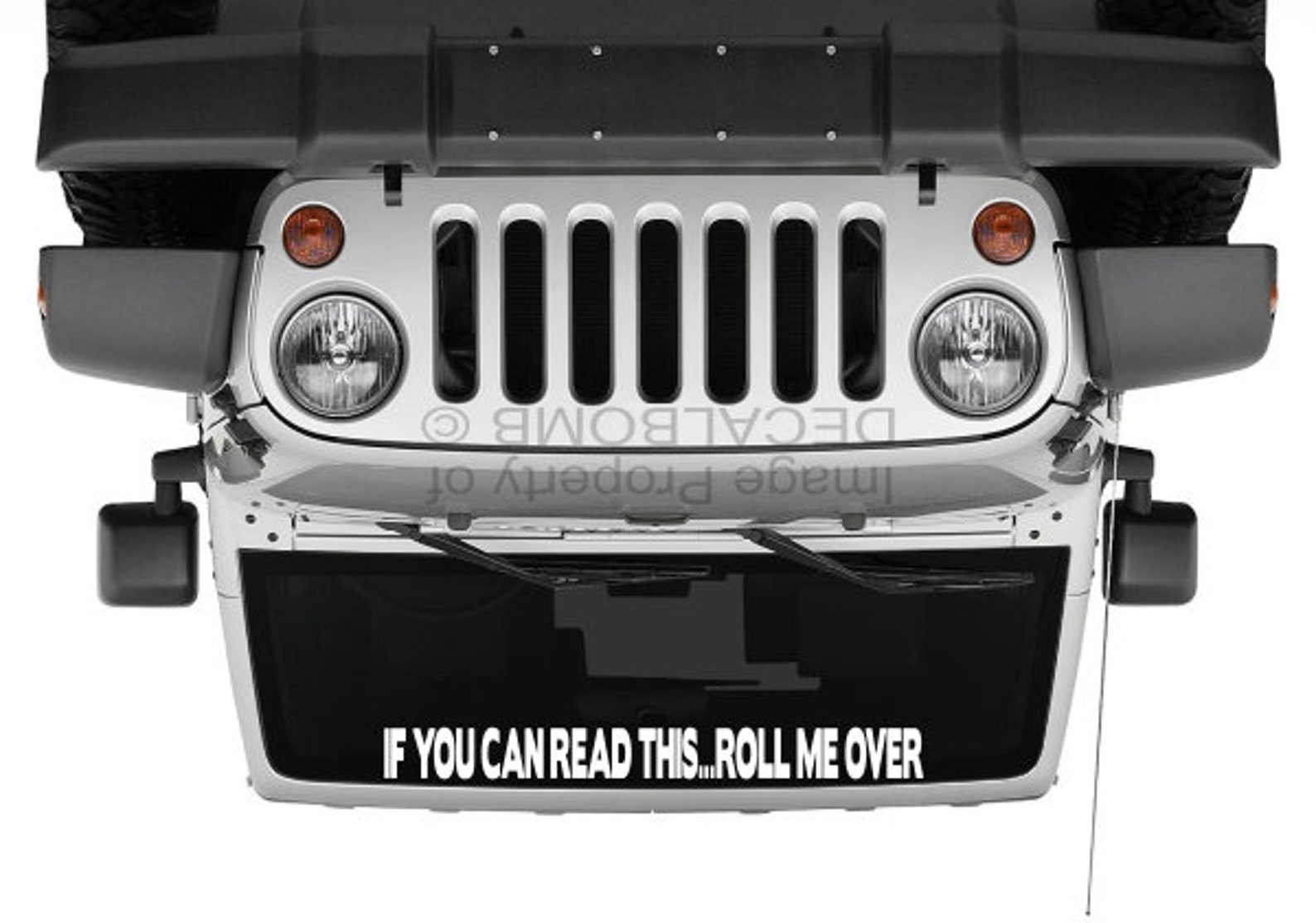 Si vous pouvez lire ce Roll Me Over Pare-brise Autocollant - Etsy France