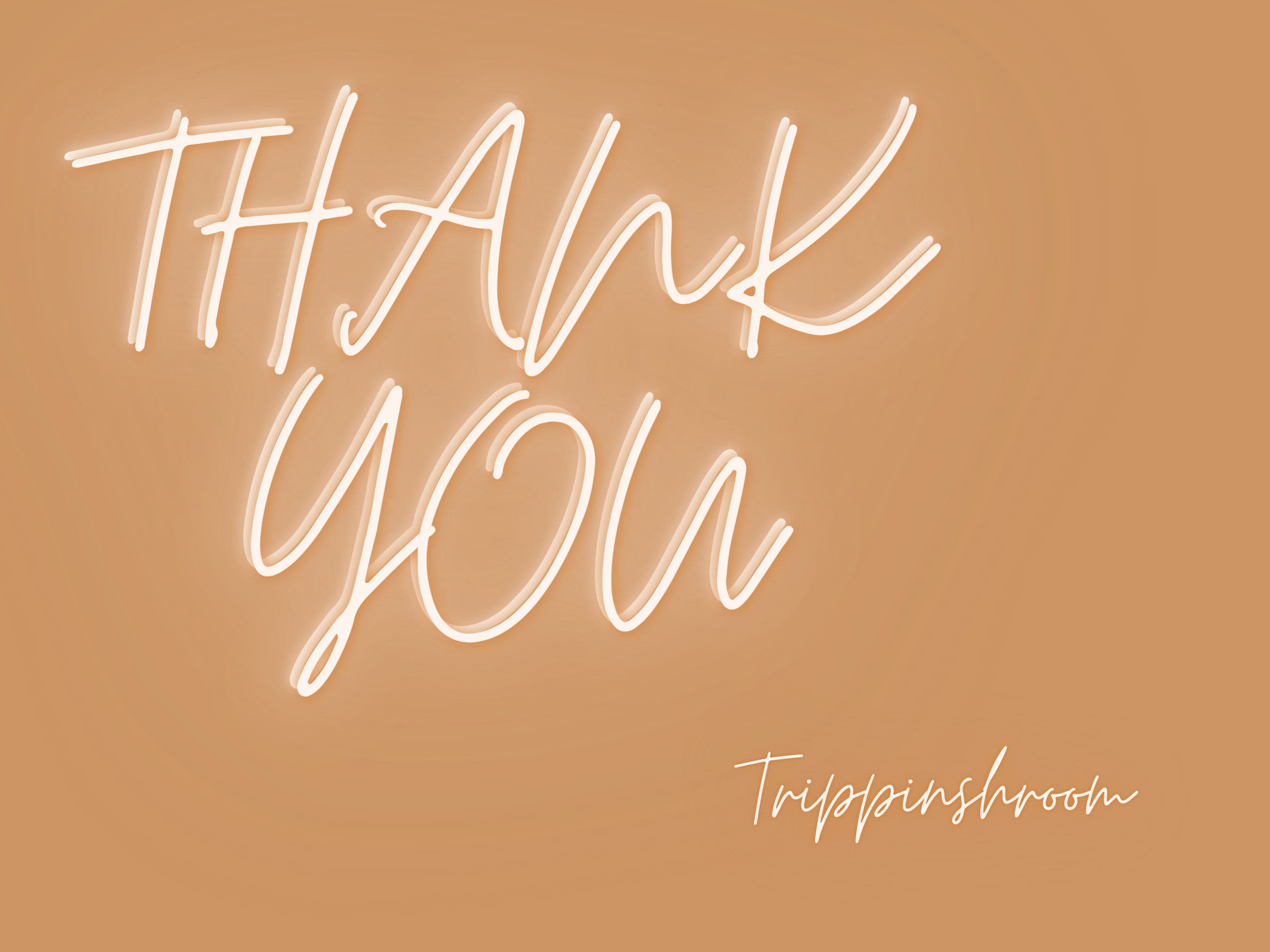 Empty Wallet Emote Meme Emote Twitch Emote Discord Emote Emote Funny ...