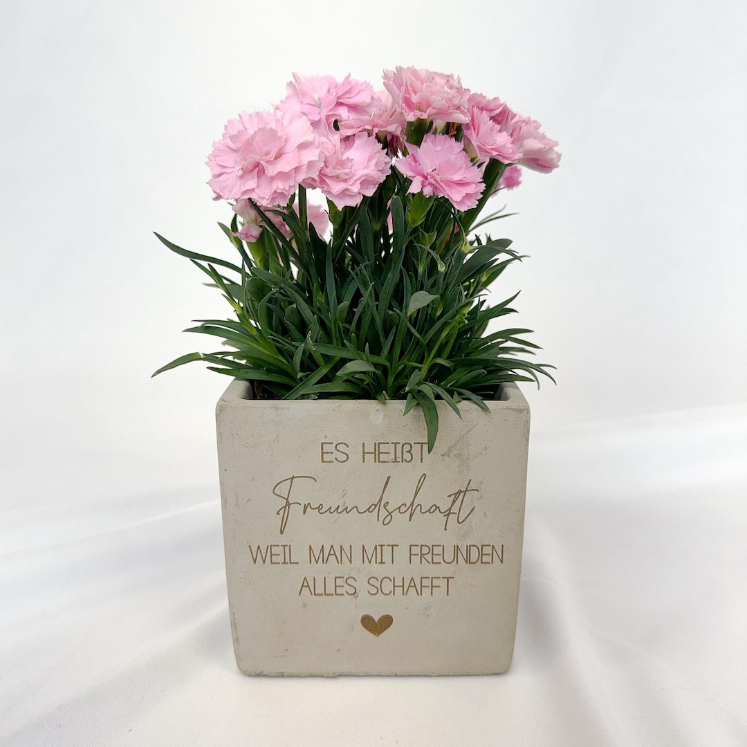 Blume Fur Freundschaft