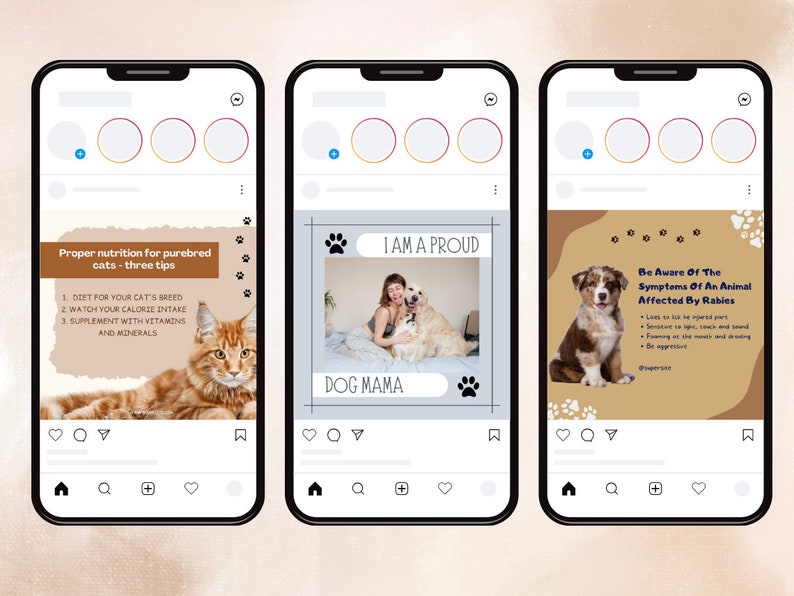 Pet Lovers Instagram Post Templates Perfect for Pet Blogs & Vets Social ...